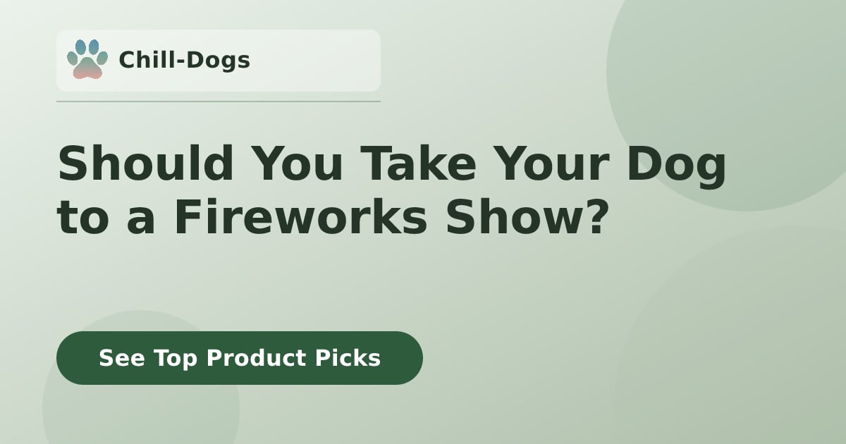 Should You Take Your Dog to a Fireworks Show? | Chill-Dogs
